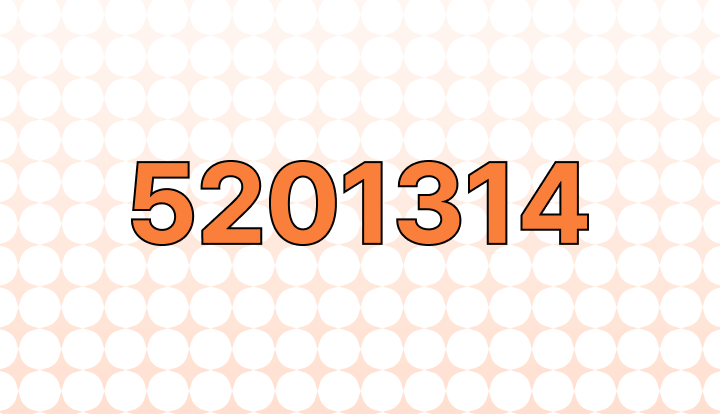 5201314 Meaning and Examples
