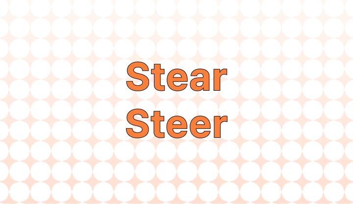 Stear vs. Steer: Which is the Correct Spelling?