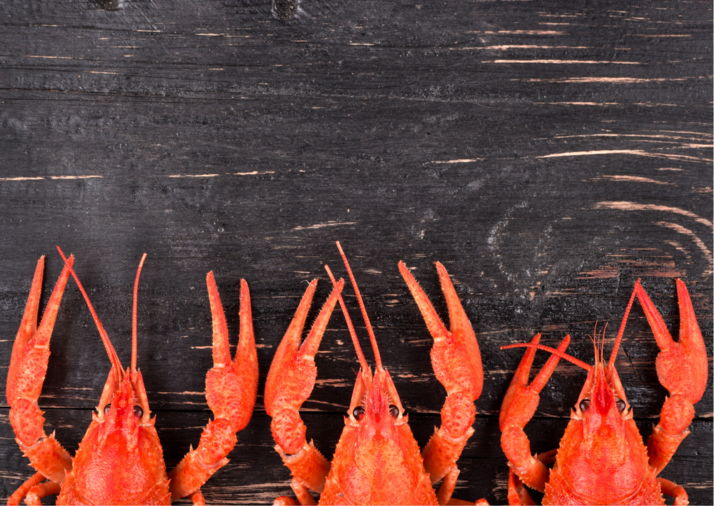 Crayfish vs. Crawfish