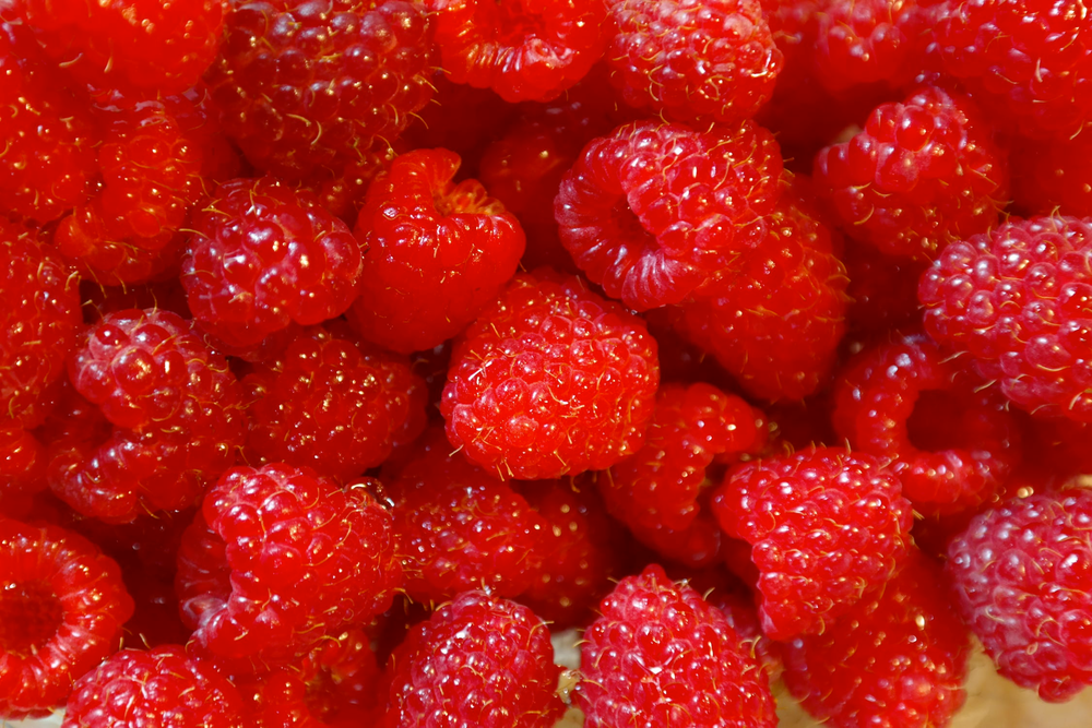 Rasberry or Raspberry: Which Is Correct?