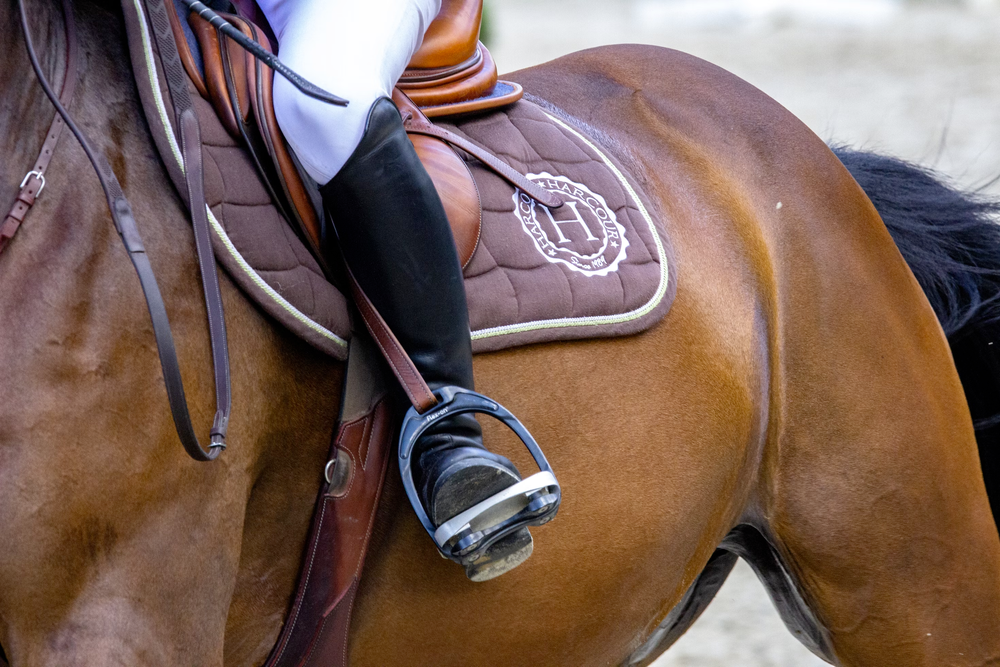 Saddling Up Meaning and Examples