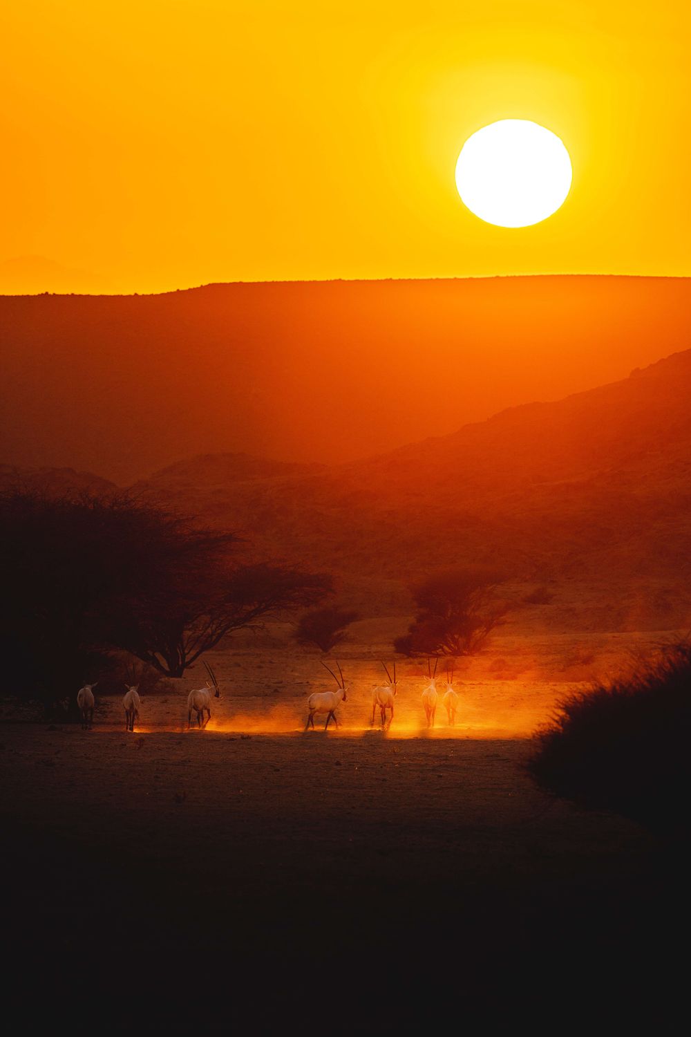 Hoter vs. Hotter: Which Is Correct?