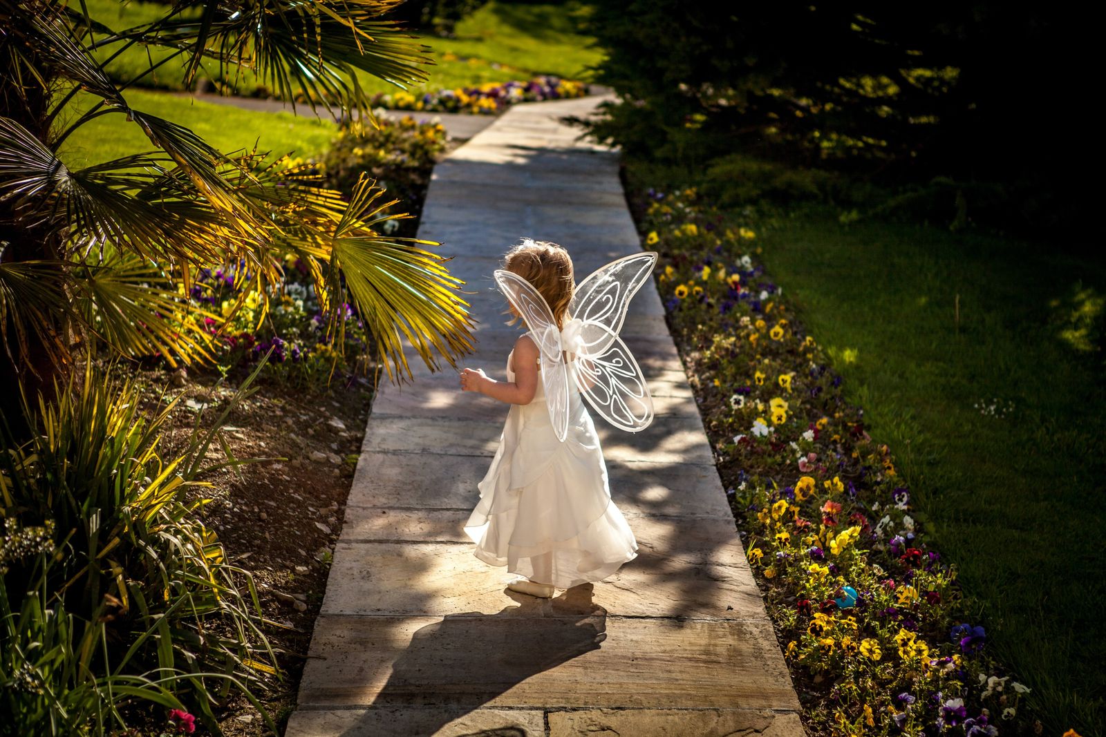 How to Use Faerie vs. Fairy in a Sentence