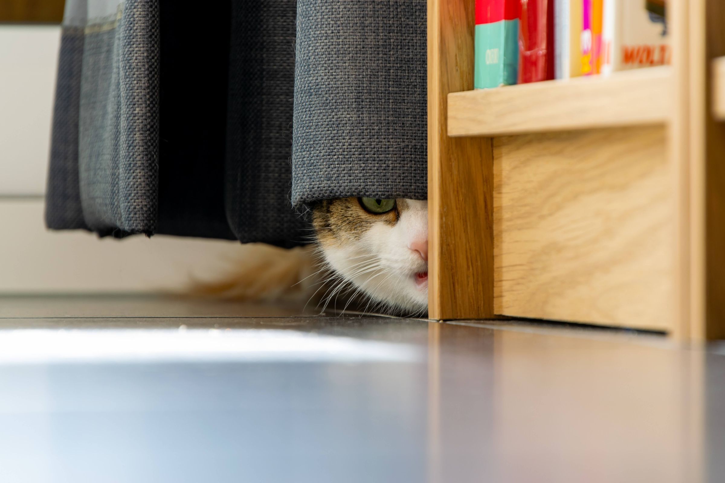 Hidding vs. Hiding: Which Is Correct?