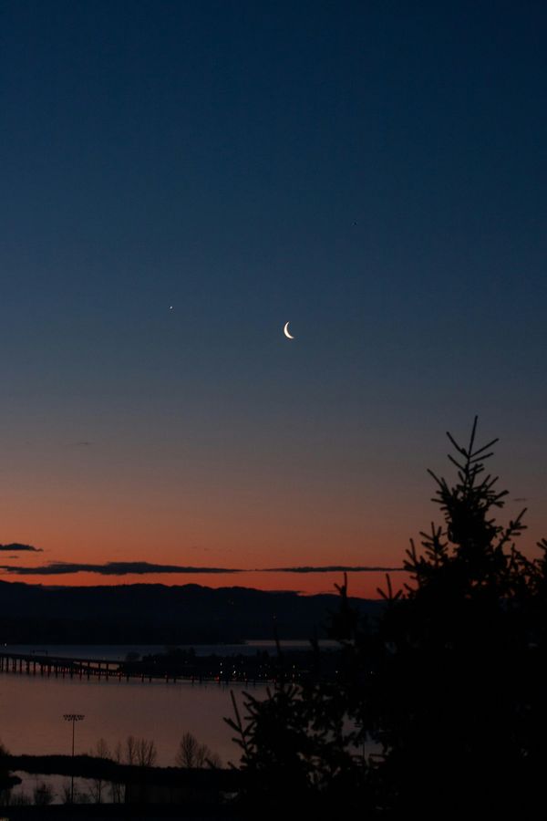 How to Use Evening vs. Night in a Sentence