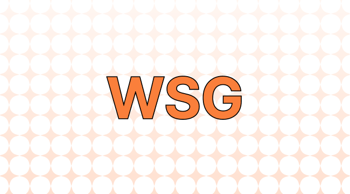 WSG (wsg) — Meaning and How to Use It